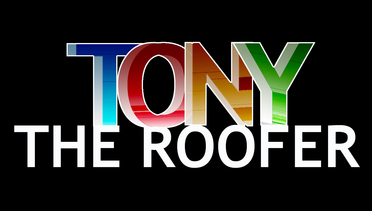 Tony the Roofer Makes Sense! - Jim Salmon Professional Home Inspection ...